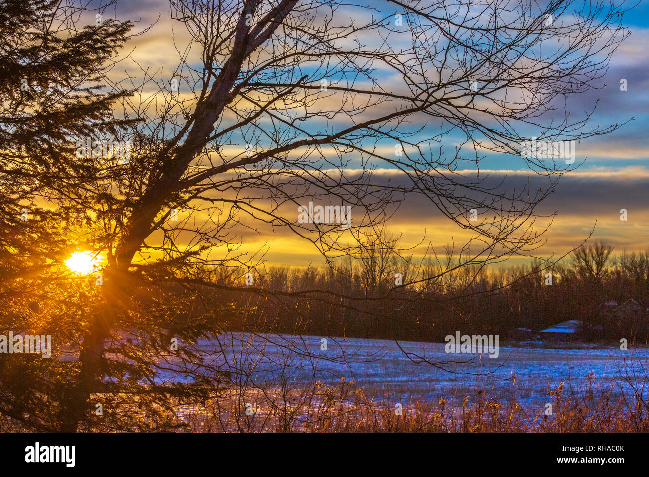 Minnesota winter trees landscape hi-res stock photography and images ...