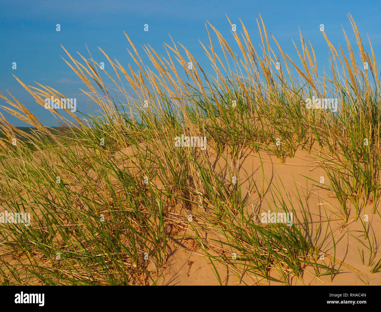 Lake MIchigan Overlook, Pierce Stocking Scenic Drive, Sleeping Bear ...