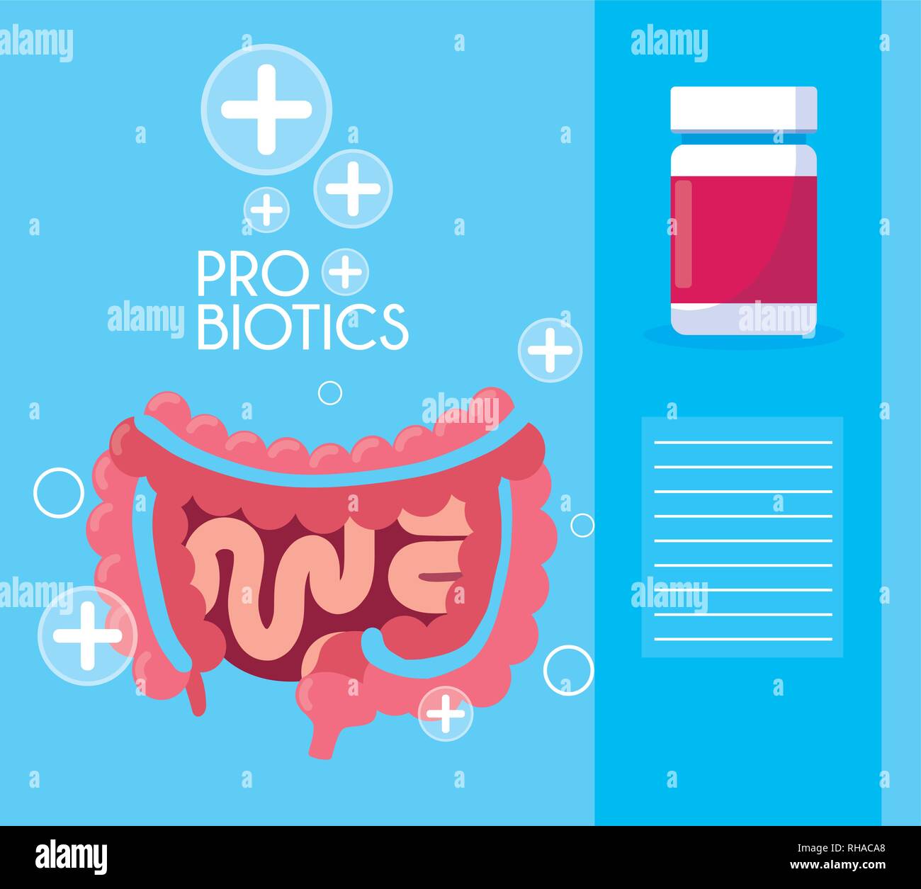 digestive system with probiotics medicines vector illustration design ...