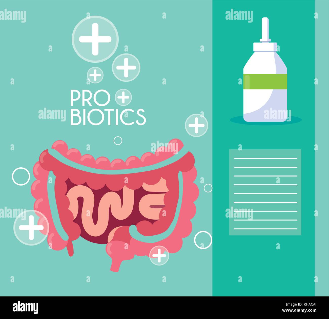 digestive system with probiotics medicines vector illustration design ...