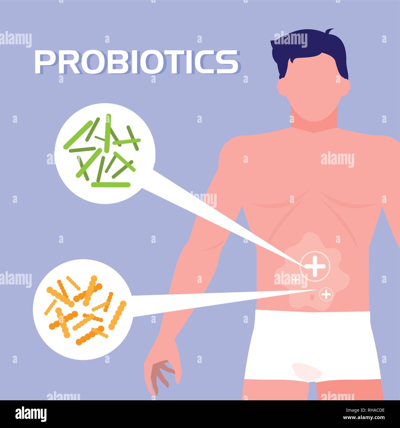 body of man with probiotics organisms vector illustration design Stock ...
