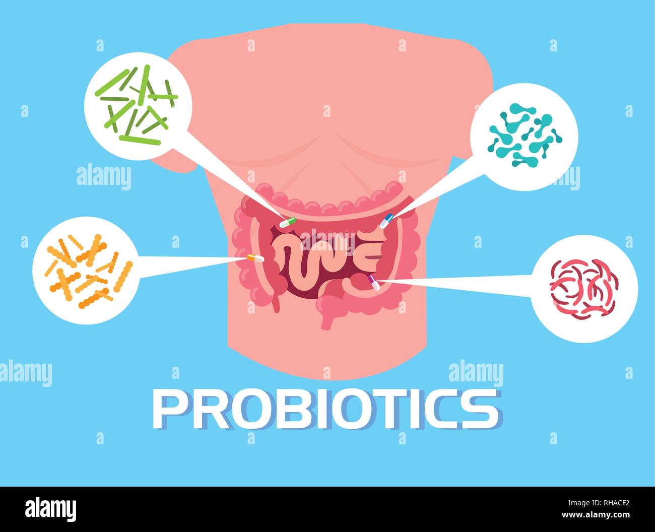 body of man with probiotics organisms vector illustration design Stock ...