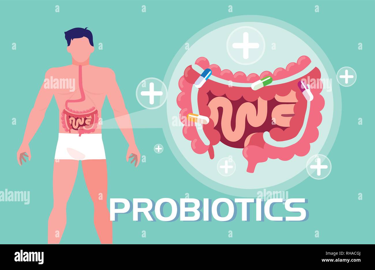 body of man with capsules medicine and digest system vector ...
