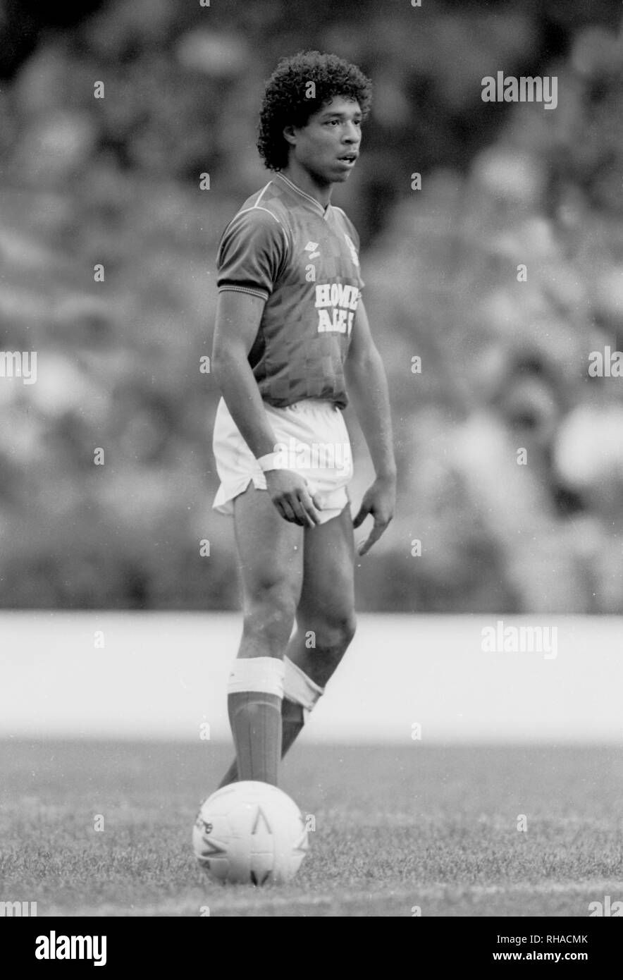 Des walker forest hi-res stock photography and images - Alamy