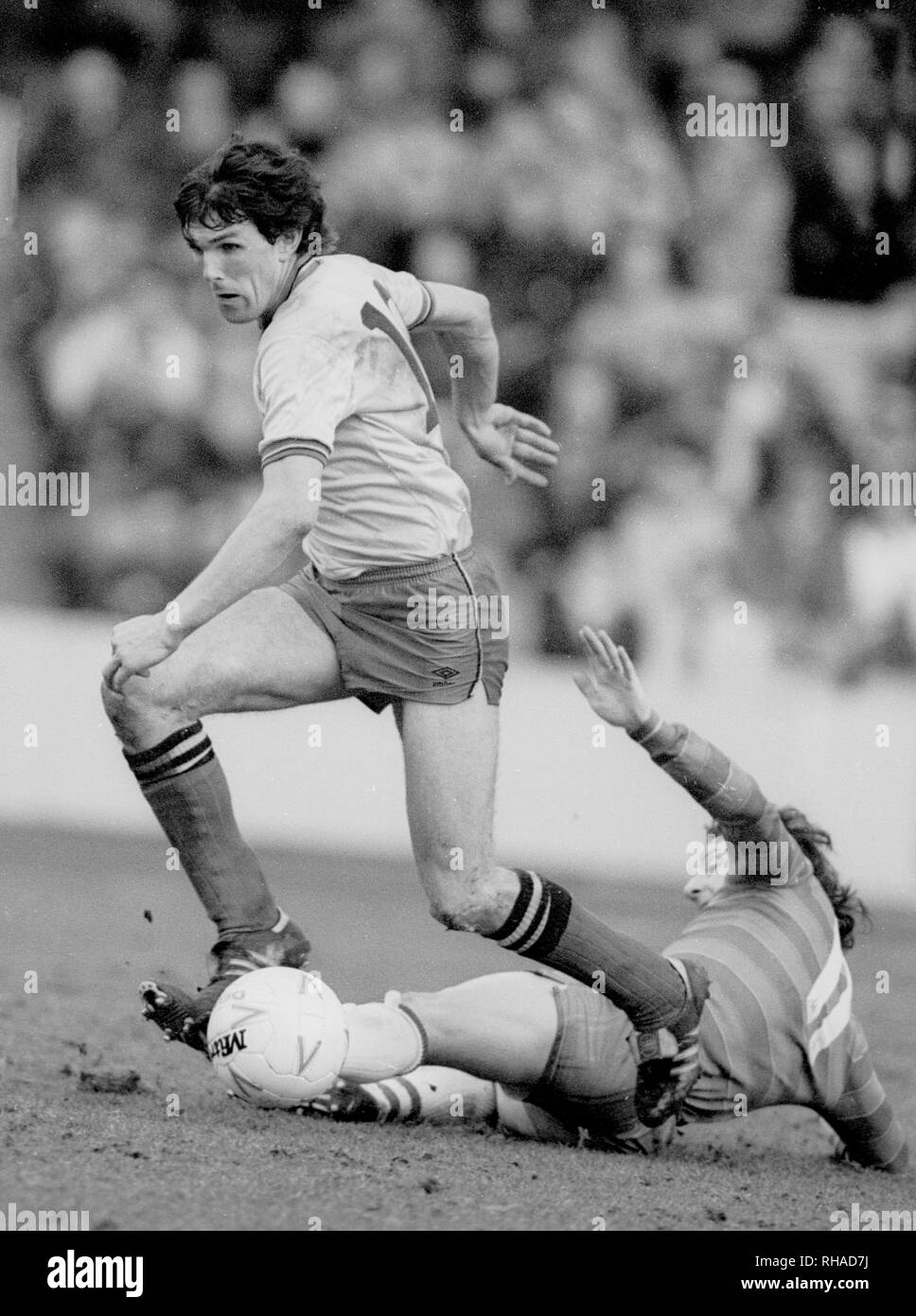 Jan lohman hi-res stock photography and images - Alamy