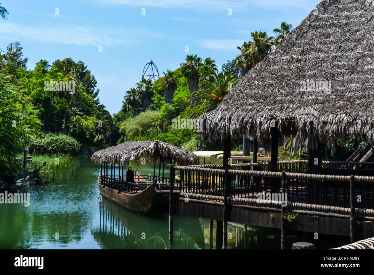 Real jungle hi-res stock photography and images - Alamy