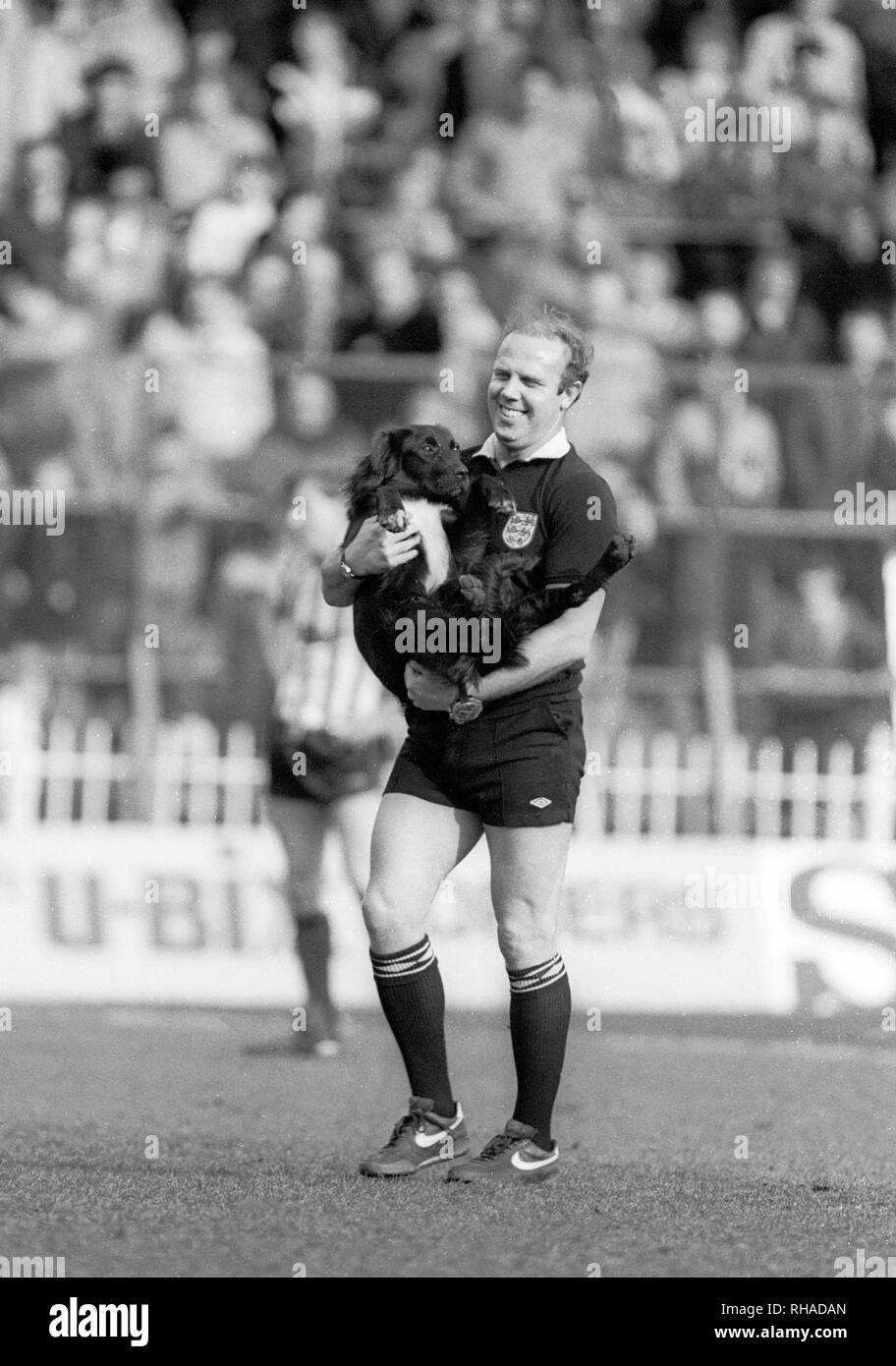 KEN REDFERN , DOG, REFEREE, , 1986 Stock Photo - Alamy