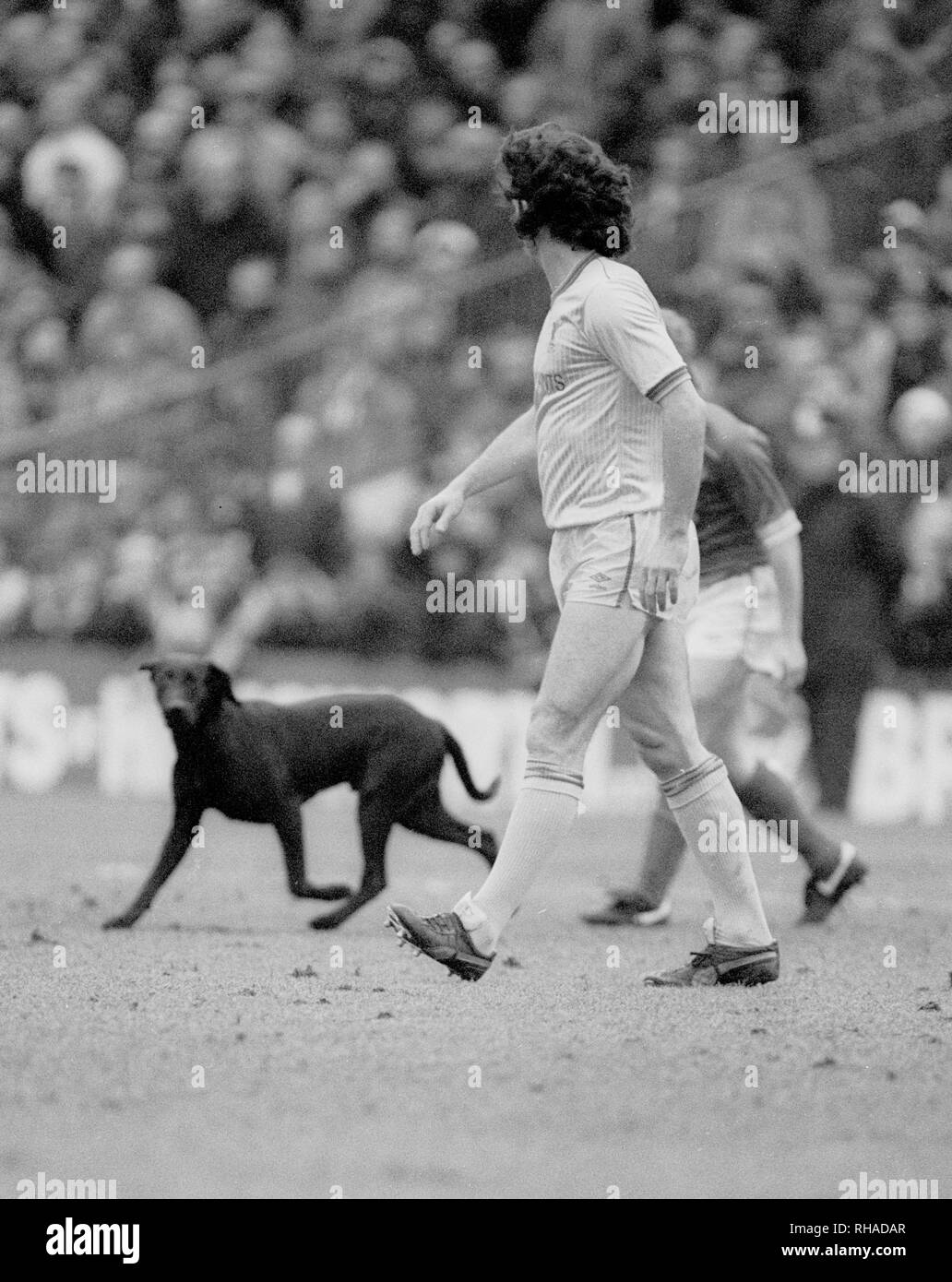JOHN WARK , DOG, LIVERPOOL FC, , 1985 Stock Photo - Alamy