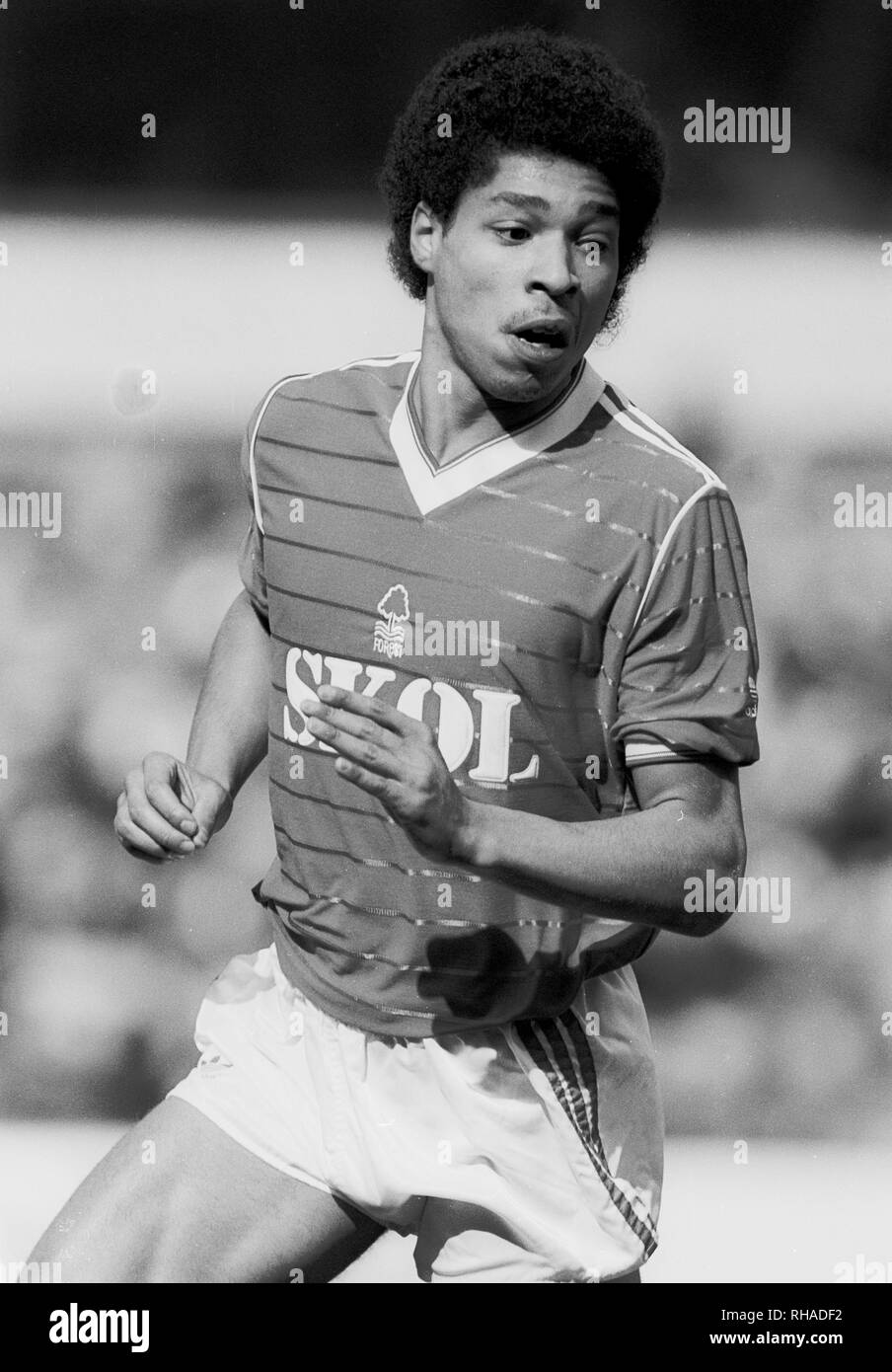 Des walker forest hi-res stock photography and images - Alamy