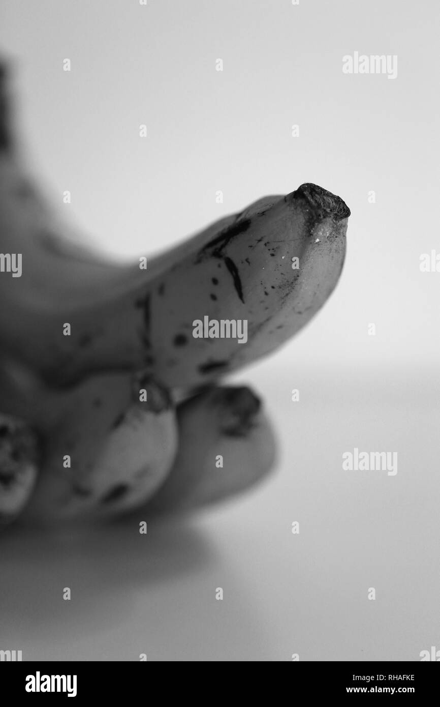 Closeup photo of bananas. Taken with macro objective to show all the ...