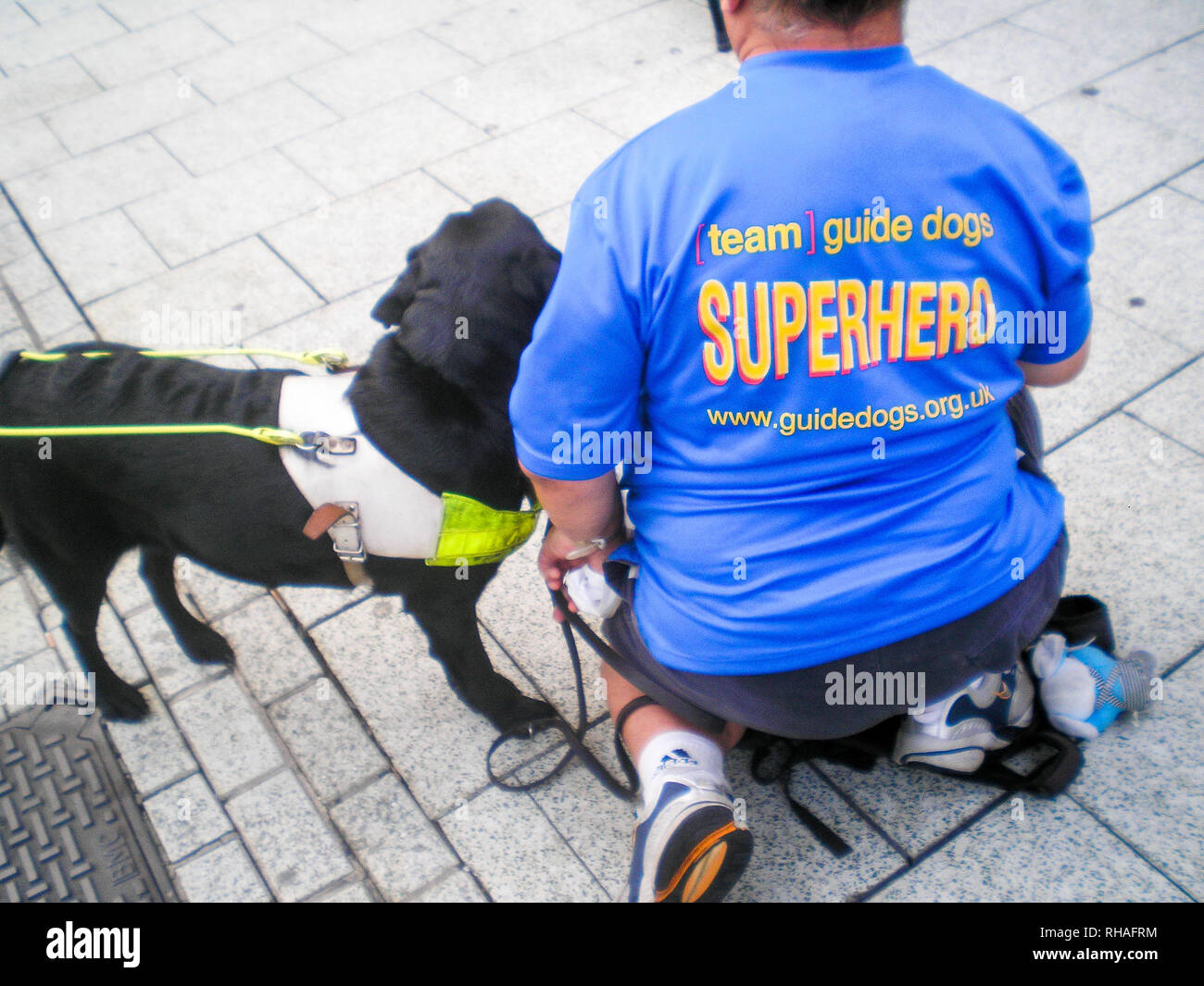 Guide dog, Cardiff, Wales Stock Photo - Alamy