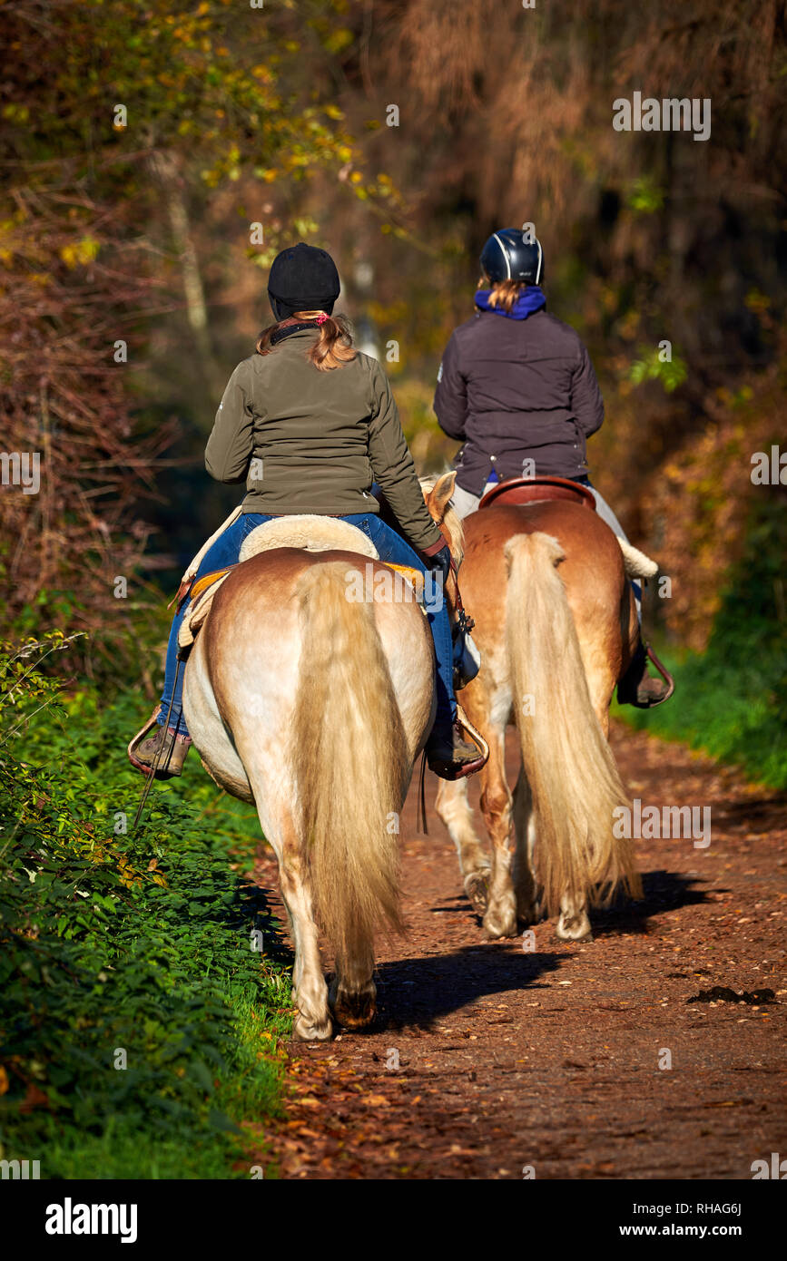 Two women riding horses Stock Photo - Alamy
