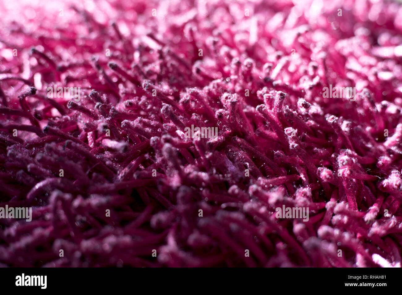 Saturated fibres hi-res stock photography and images - Alamy