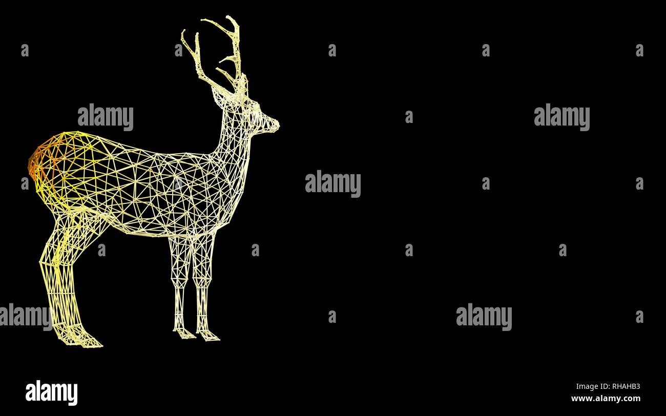 3d rendering of an animal wireframe isolated on a black background ...