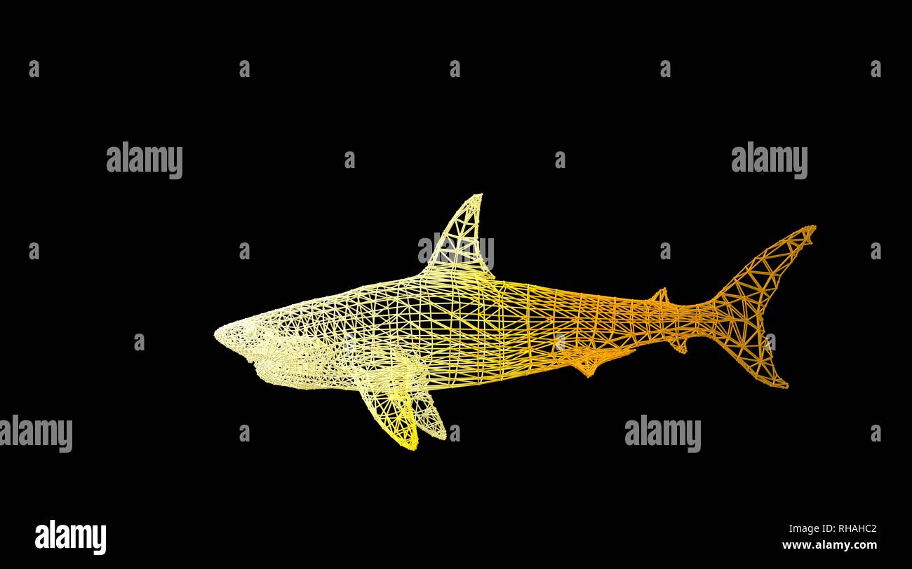 3d rendering of an animal wireframe isolated on a black background ...
