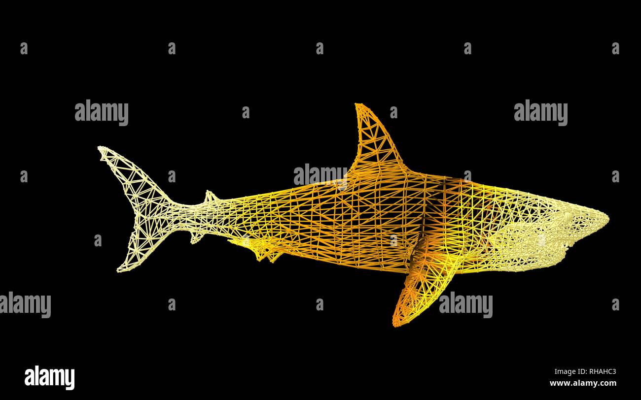 3d rendering of an animal wireframe isolated on a black background ...