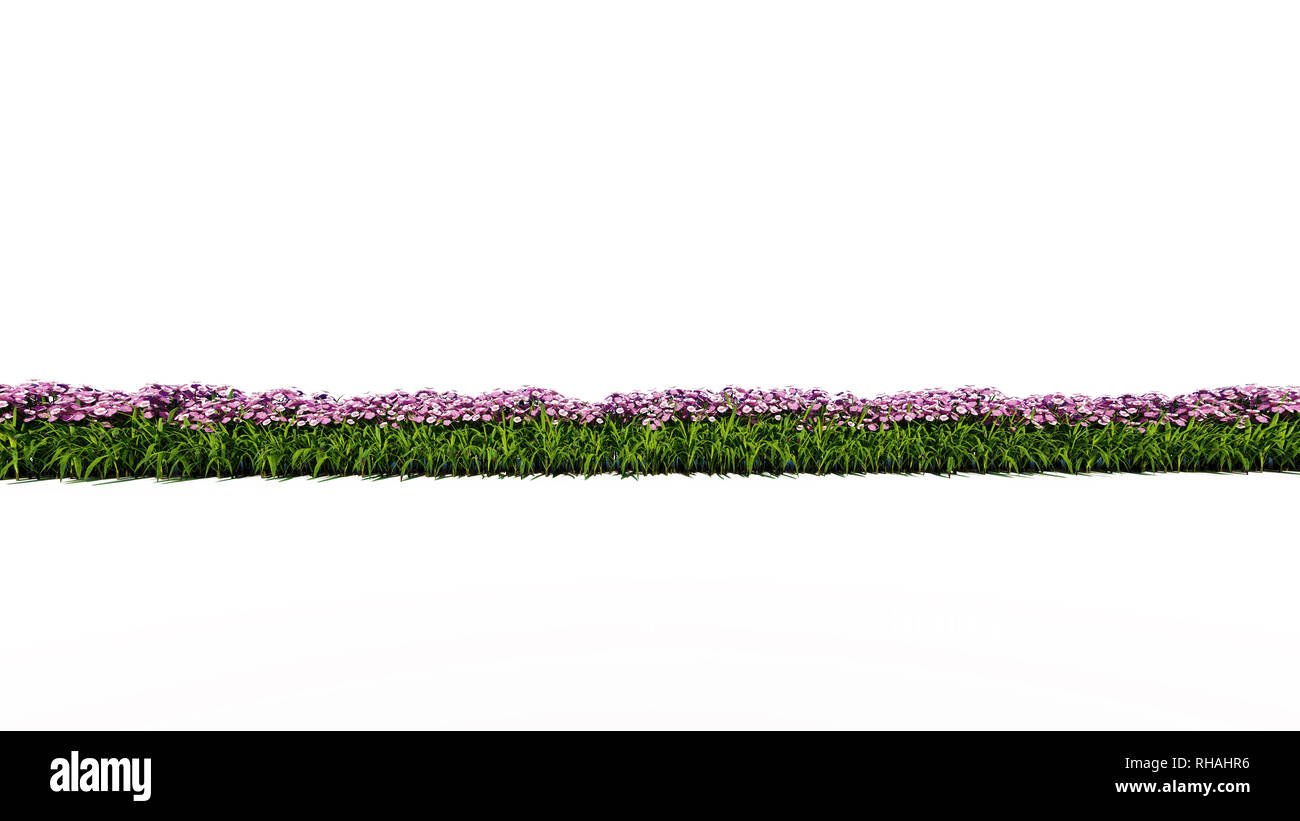 3d rendering of row of flowers isolated on a white background for ...