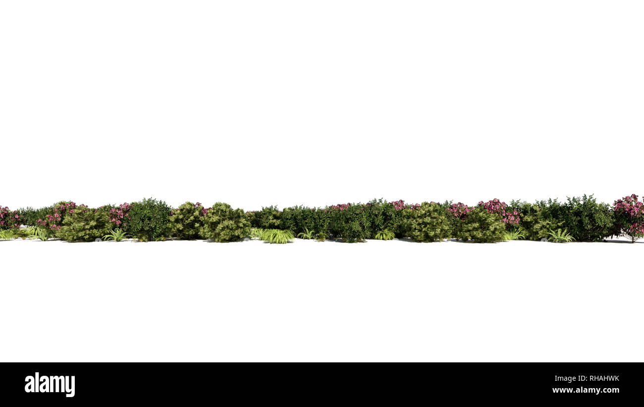 3d rendering of a group of plants raw for architectrural background use ...