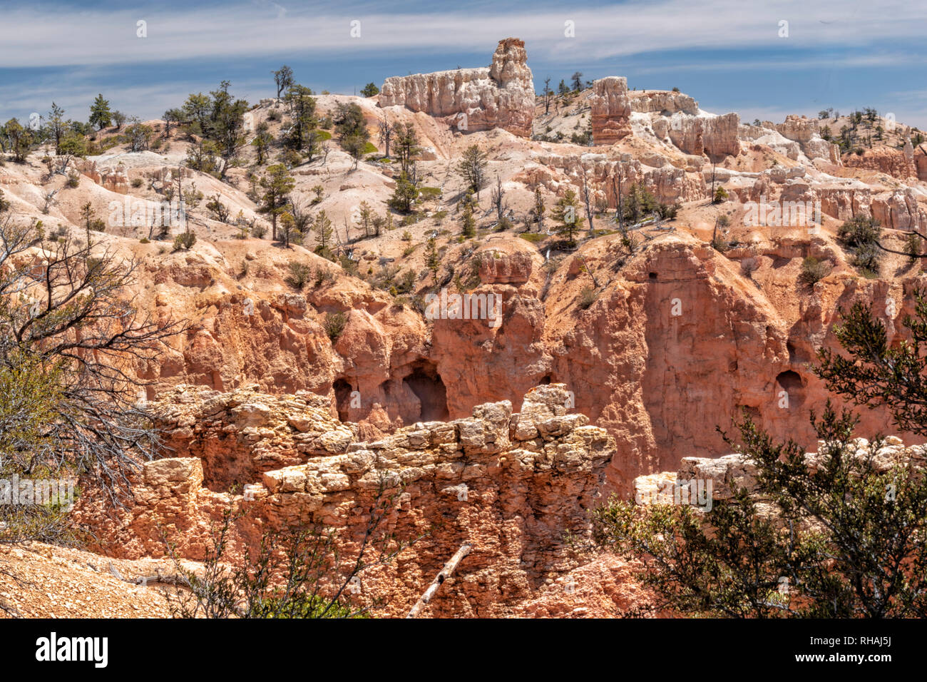 Byrce hi-res stock photography and images - Alamy