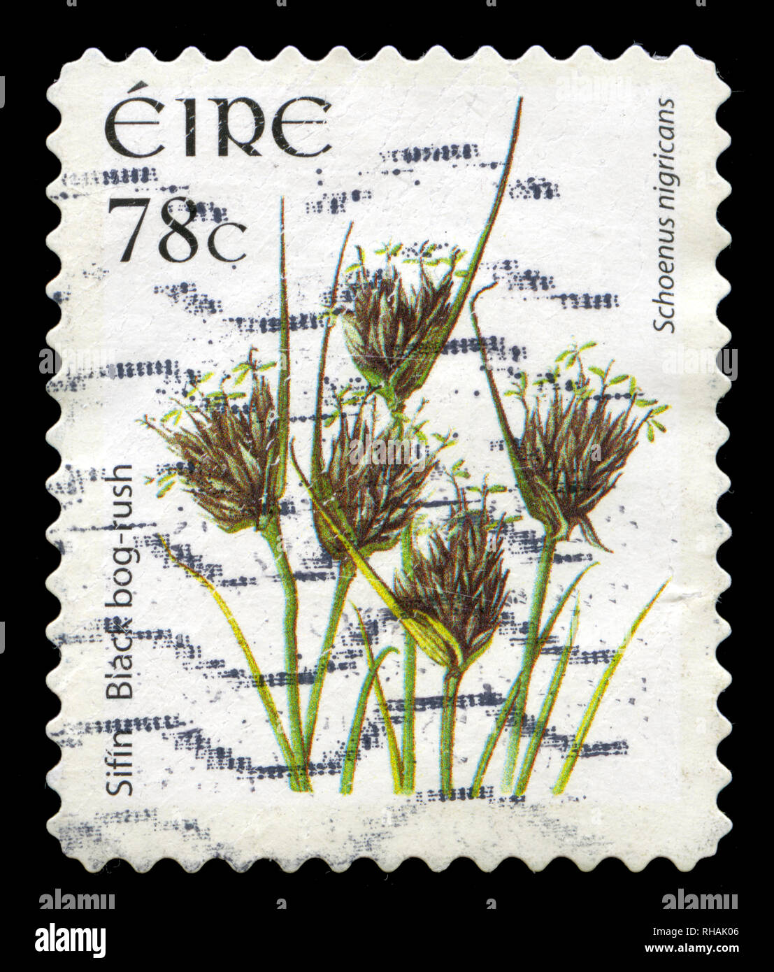 Postage stamp from Ireland in the Wild Flowers Definitives 2004-2011 ...