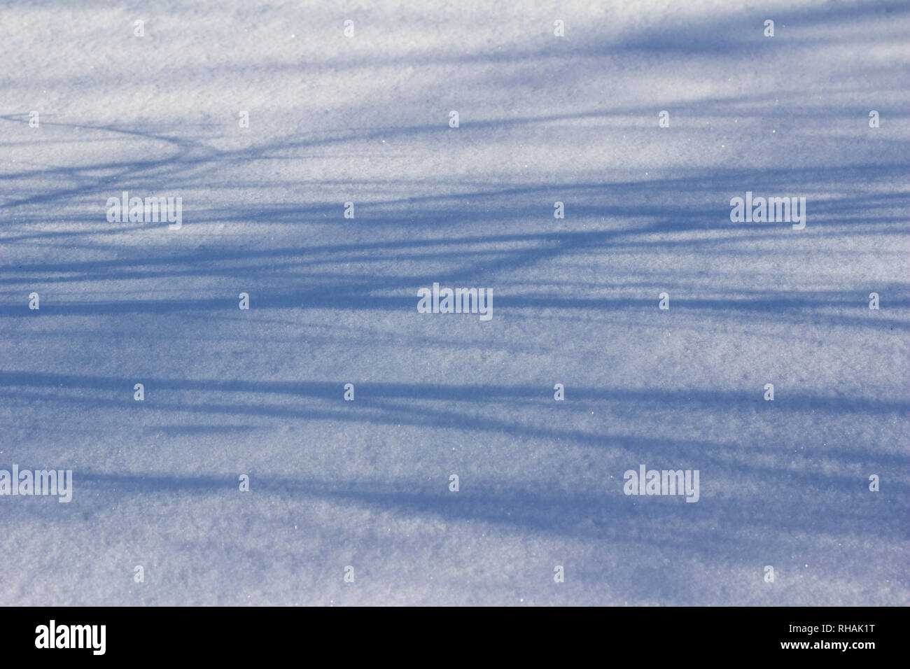 Winter snow texture abstract landscape background of tree shadows cast ...