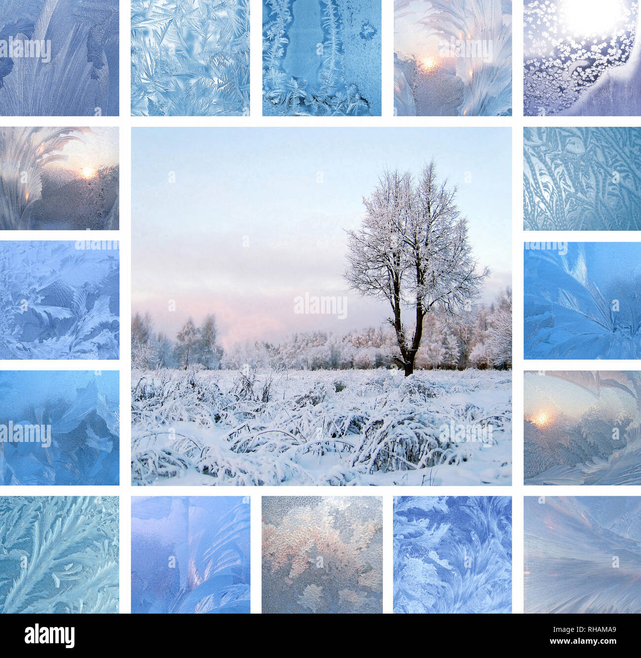 Collage of ice patterns on glass and winter landscape with tree Stock ...