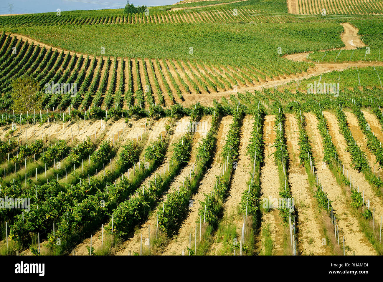 Pagos de araiz hi-res stock photography and images - Alamy