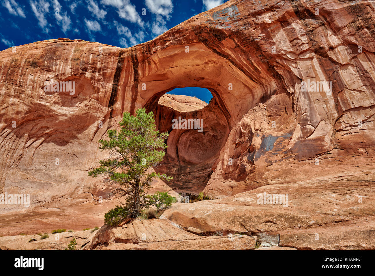 Bowtie Arch, Moab, Utah, USA, North America Stock Photo - Alamy