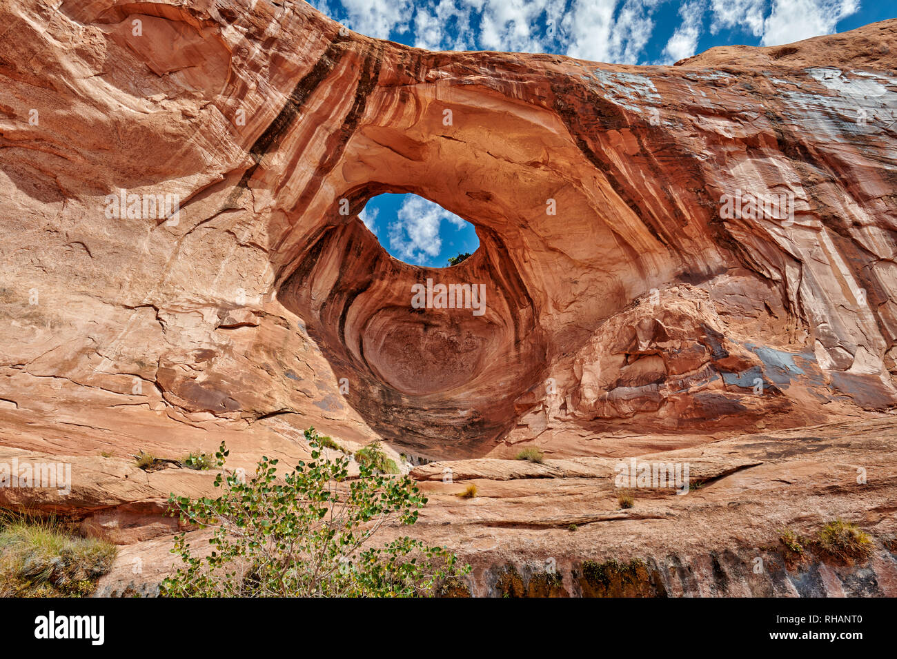 Bowtie Arch, Moab, Utah, USA, North America Stock Photo - Alamy