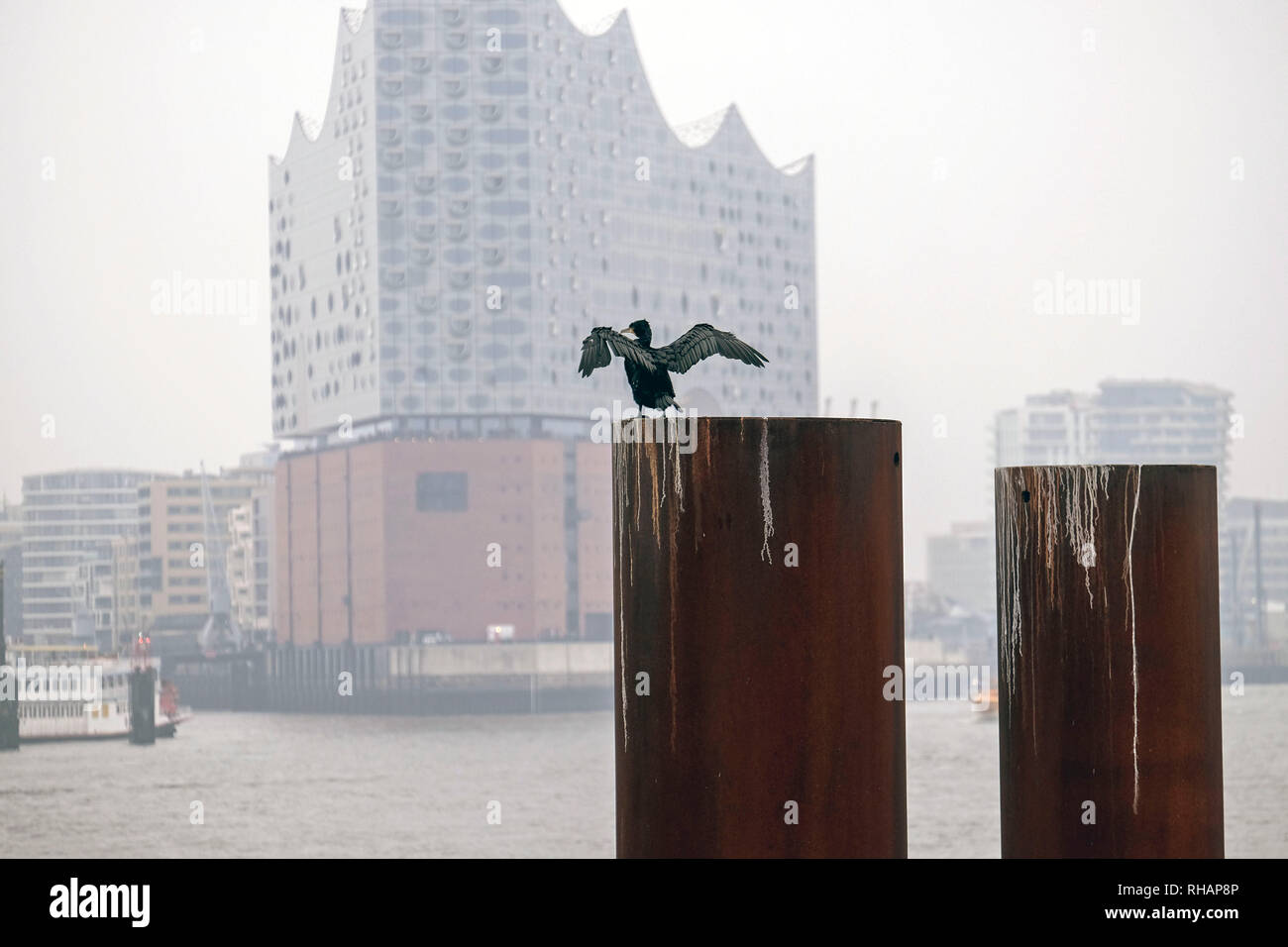 Spread wings opposite hi-res stock photography and images - Alamy