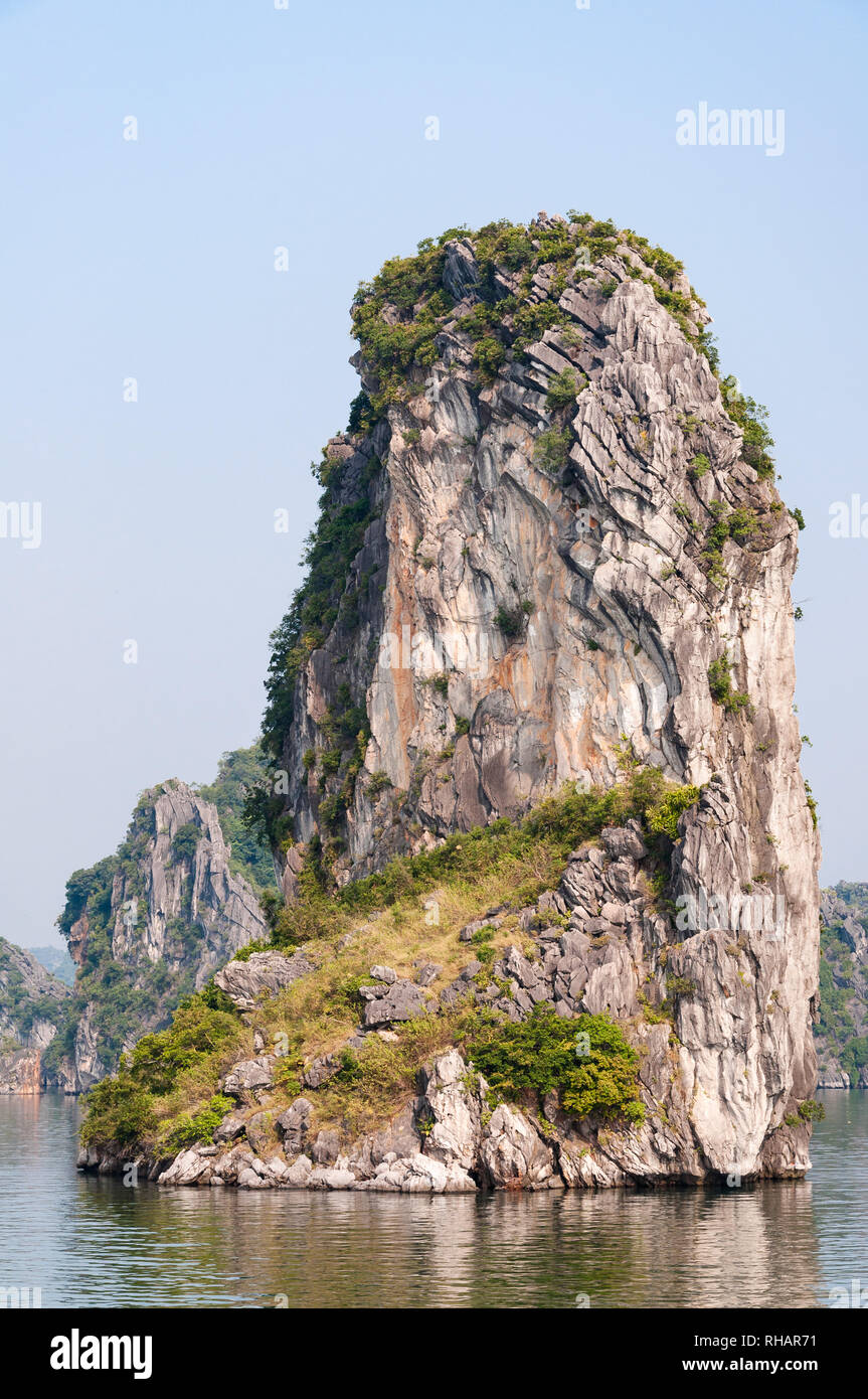 Covered in vegetation hi-res stock photography and images - Alamy