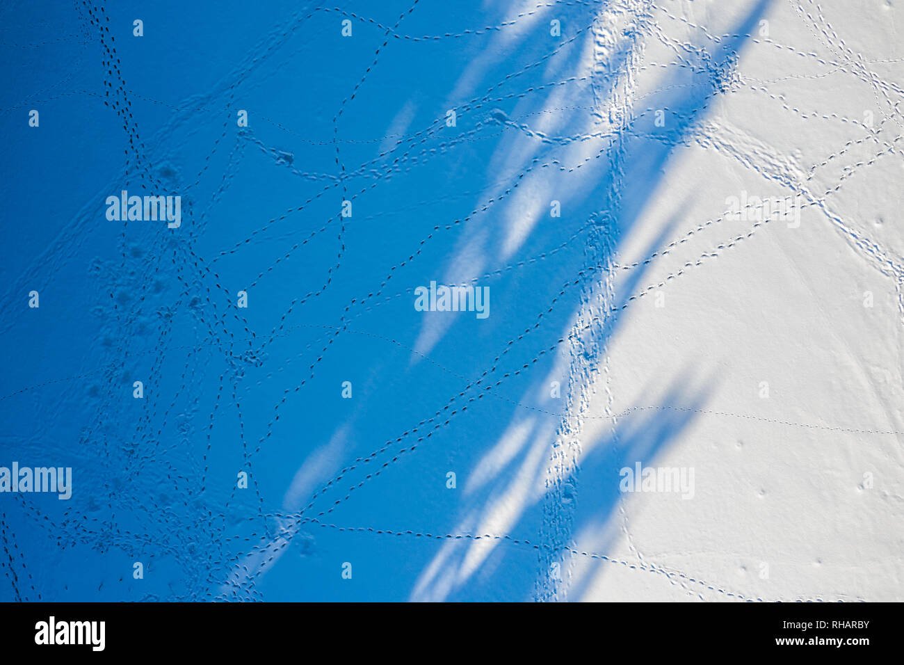 Aerial view of a human footprints on white snow on the frozen lake ...