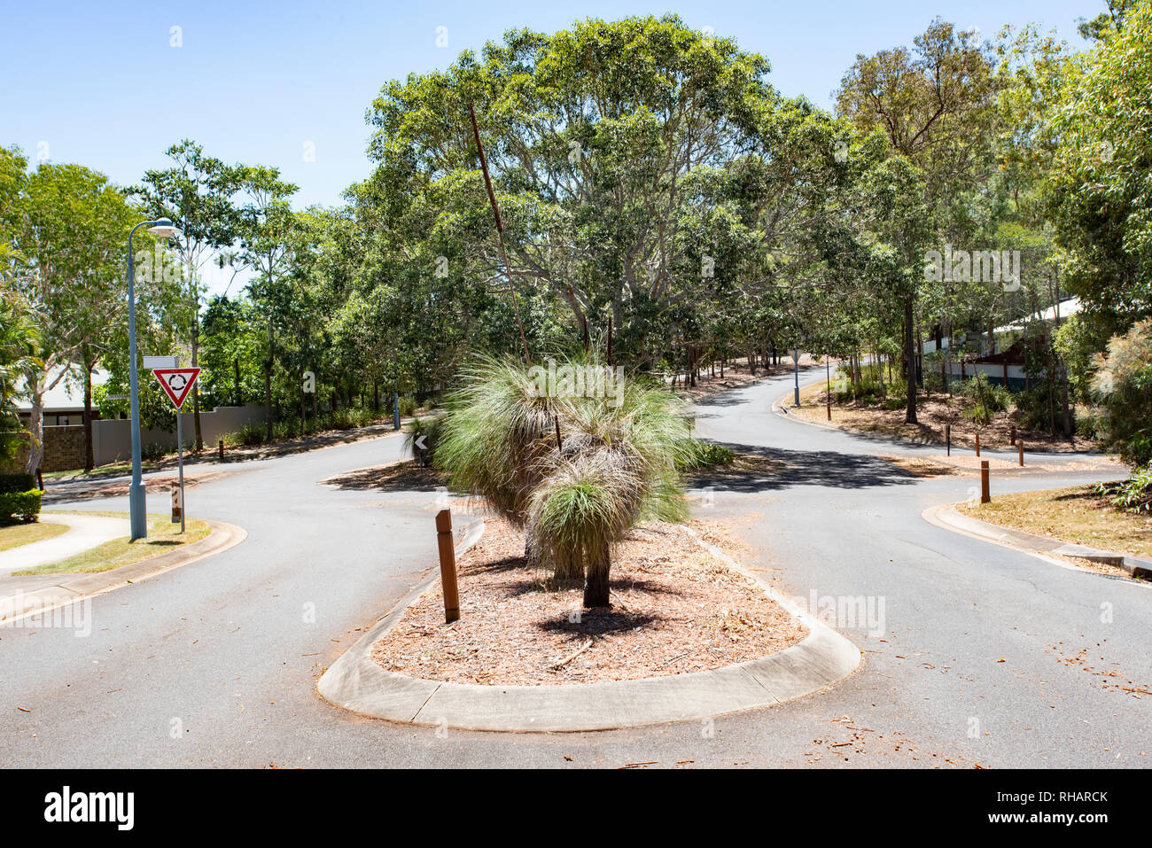 Residential streetscape with many trees Stock Photo - Alamy