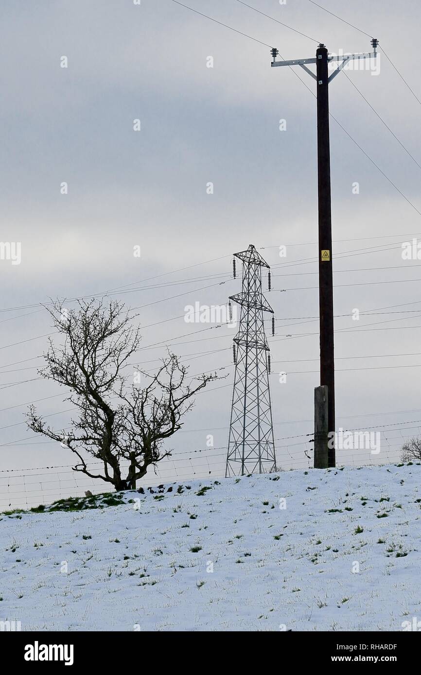 A pylon, telegraph pole and tree in the winter snow Stock Photo - Alamy