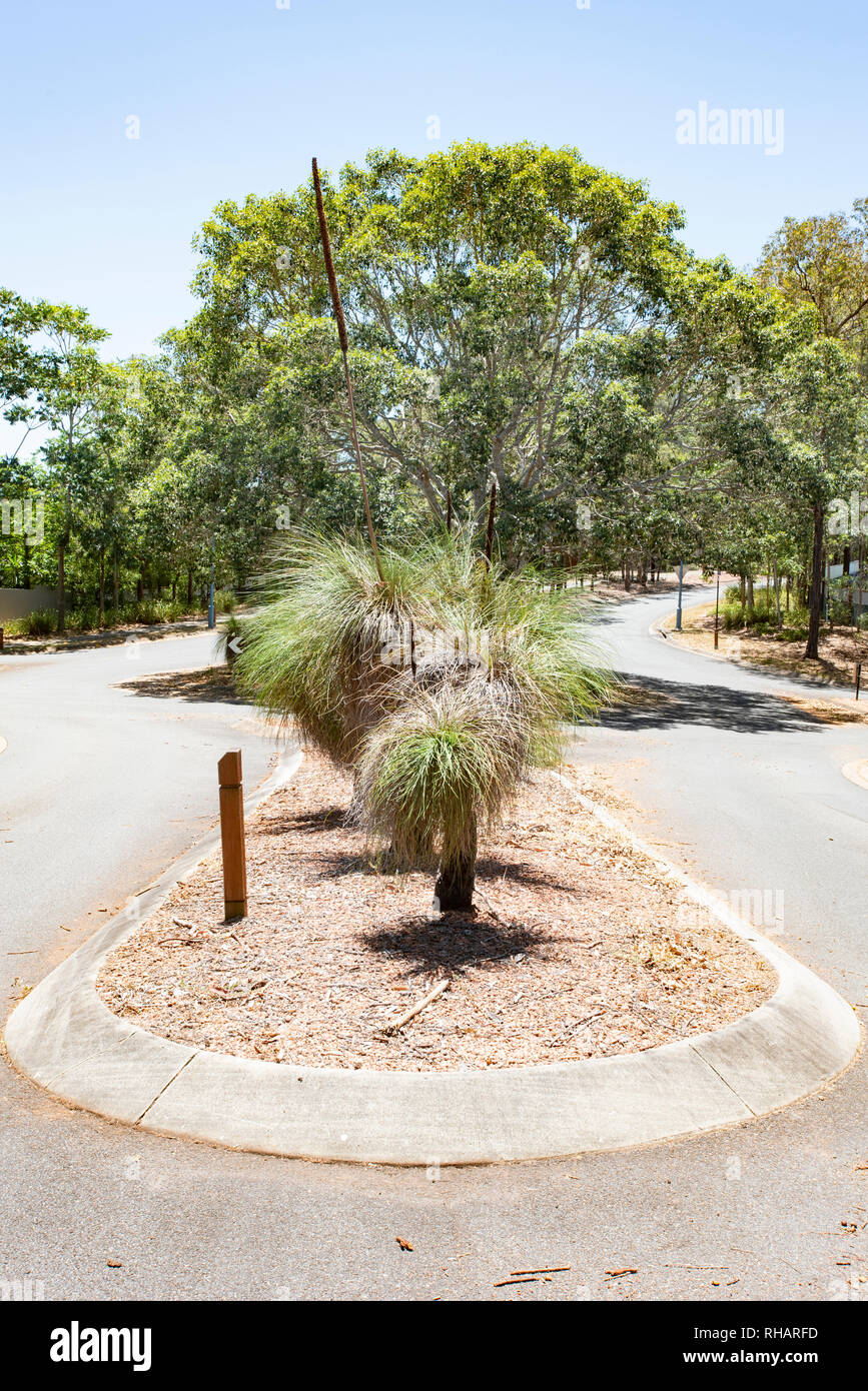Residential streetscape with many trees Stock Photo - Alamy