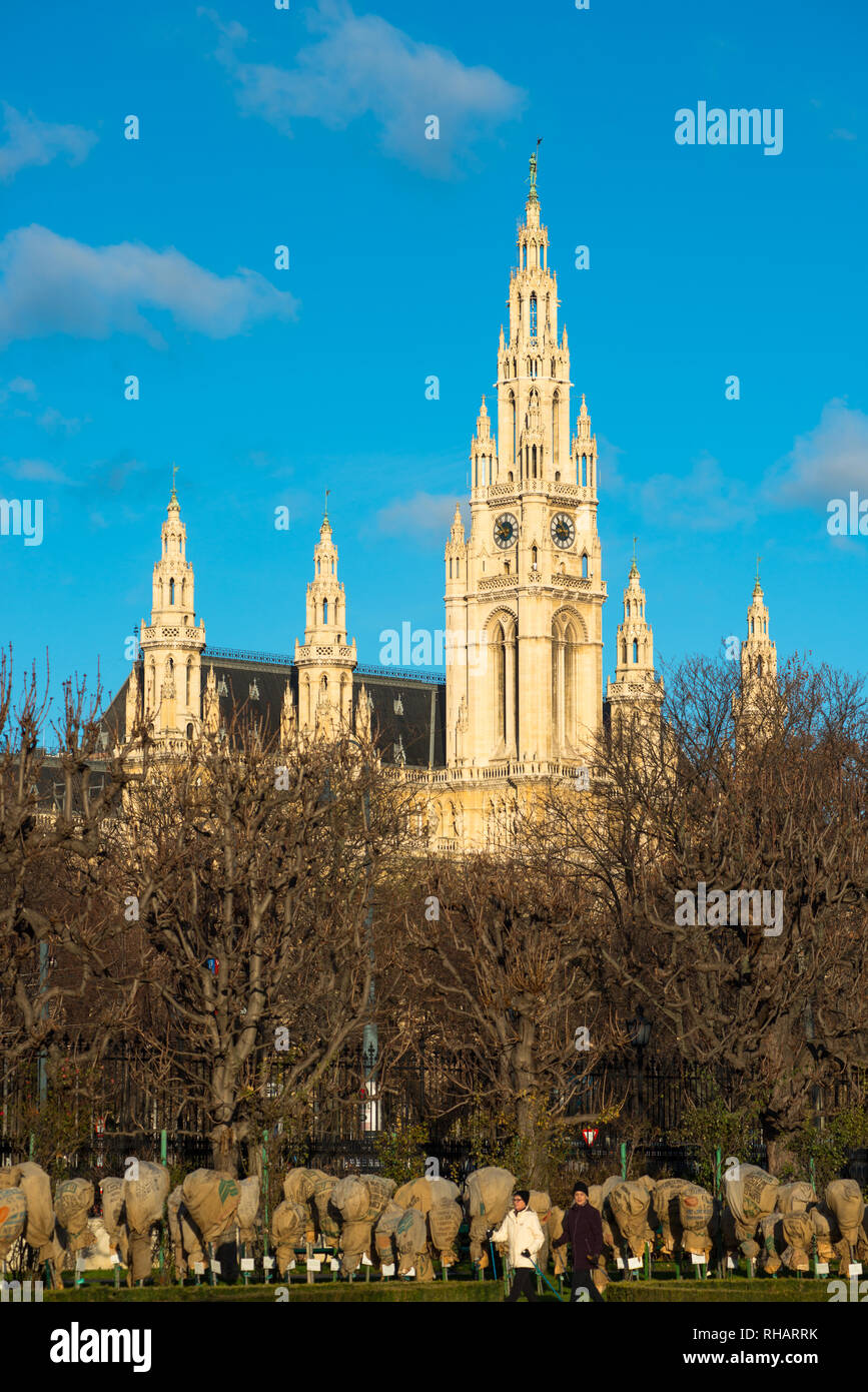 Neues rathaus vienna hi-res stock photography and images - Alamy