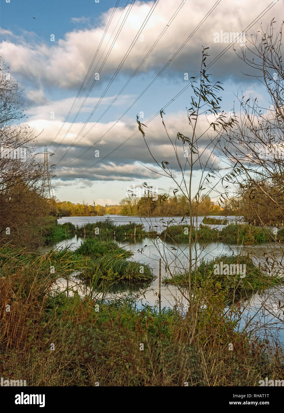 Walthamstow wetlands hi-res stock photography and images - Alamy