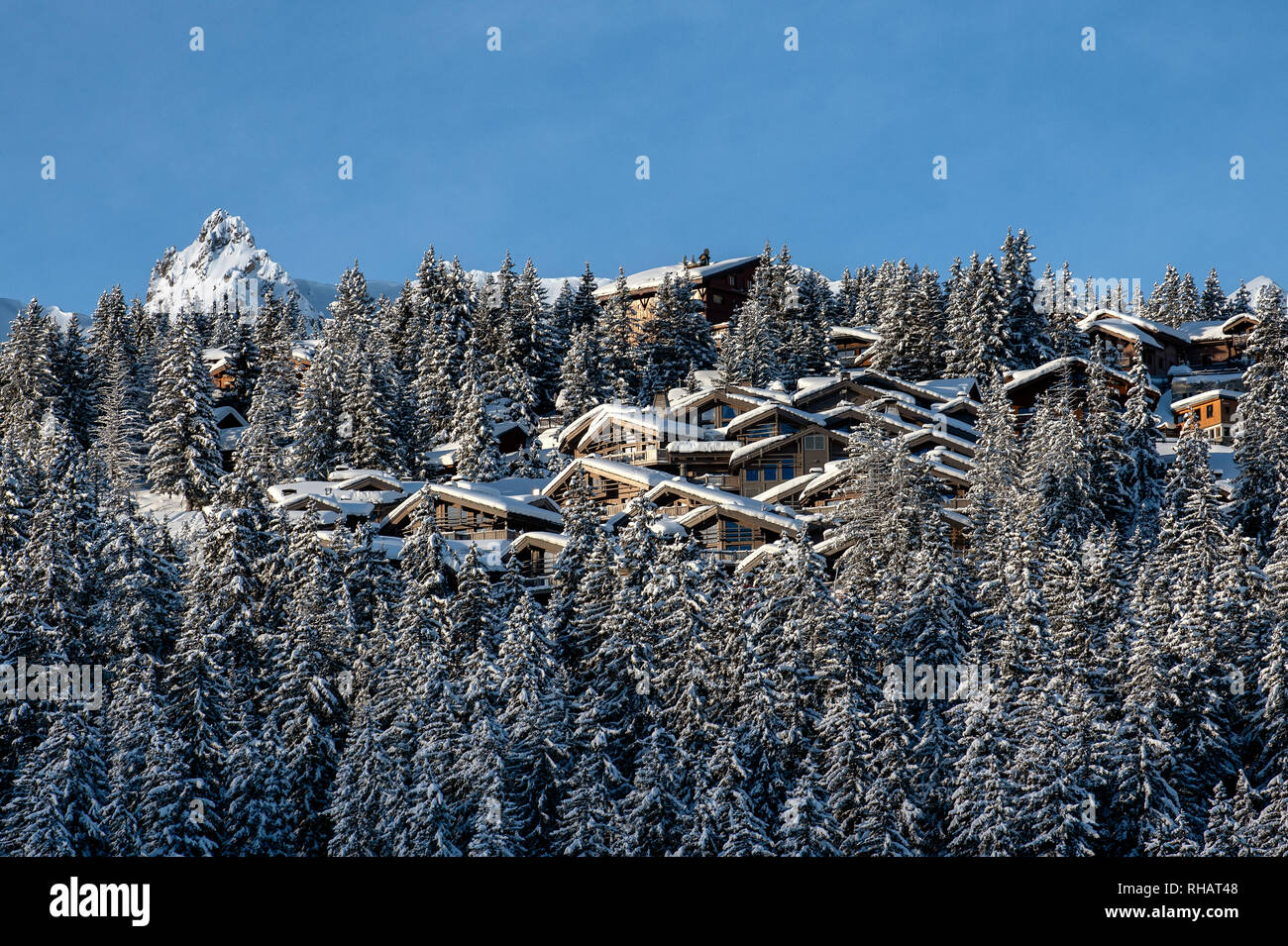 Chalets nestled in the trees in the French alpine ski resort of ...