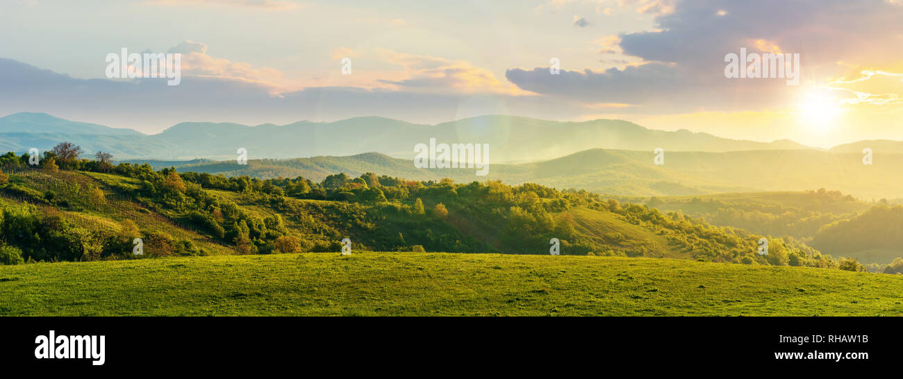 panorama of romania countryside at sunset in evening light. wonderful ...
