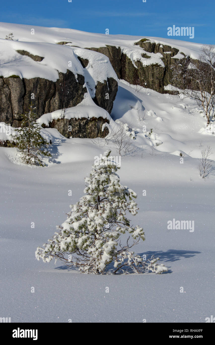 hiking in winter in Norway, hike to Preikestolen in Winter, Stavanger ...