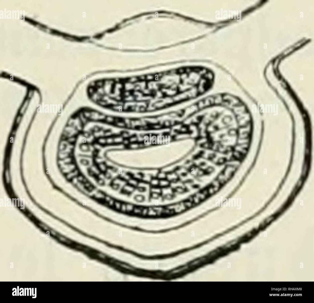 Keplet hi-res stock photography and images - Alamy