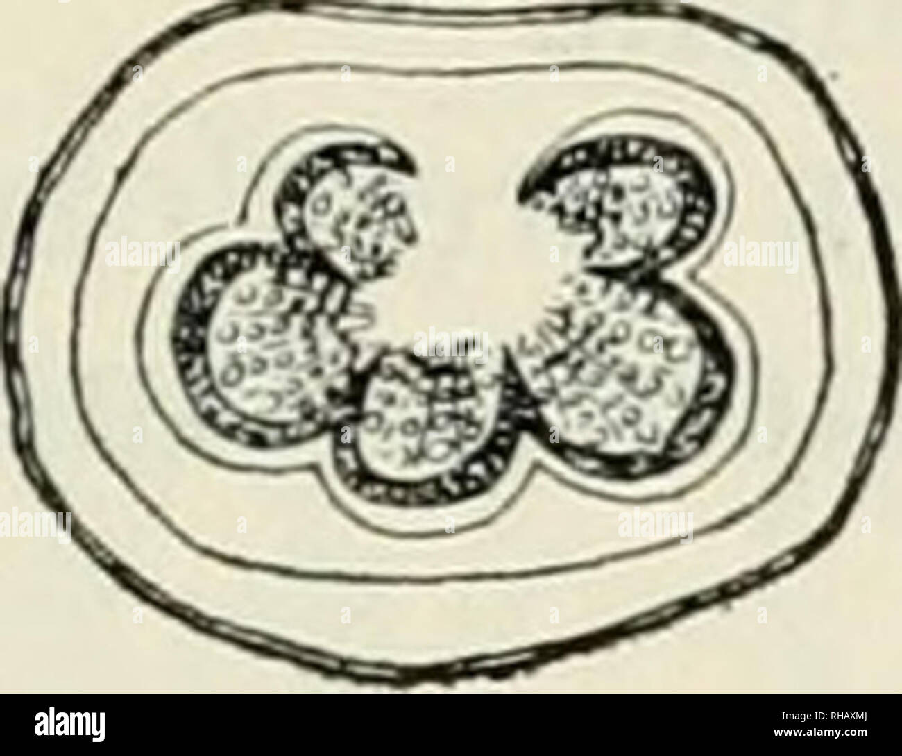 Keplet hi-res stock photography and images - Alamy