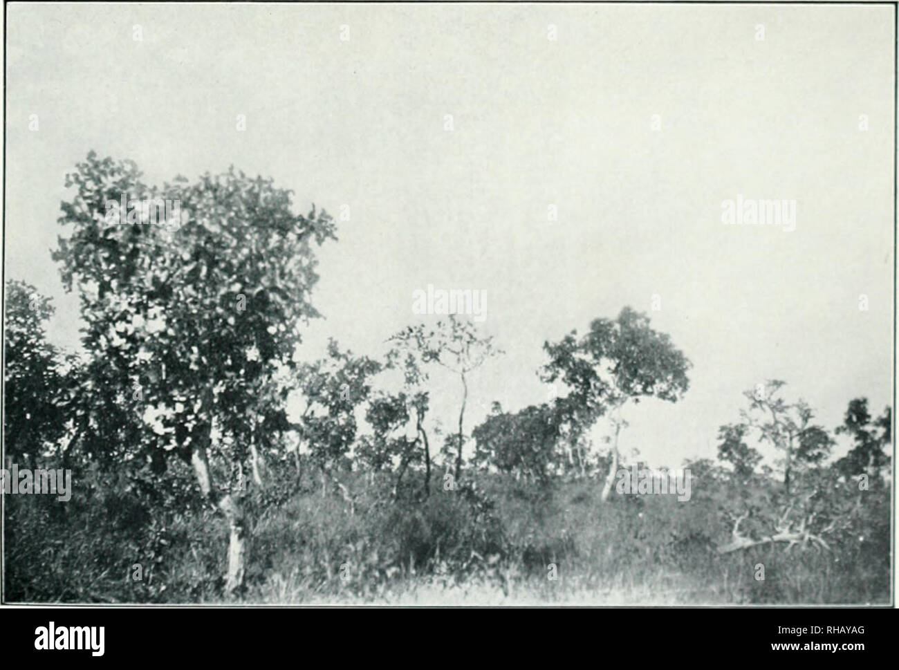 Plano cerrado hi-res stock photography and images - Alamy