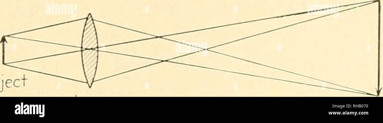 . Botanical microtechnique. Botany -- Anatomy; Botany -- Morphology ...