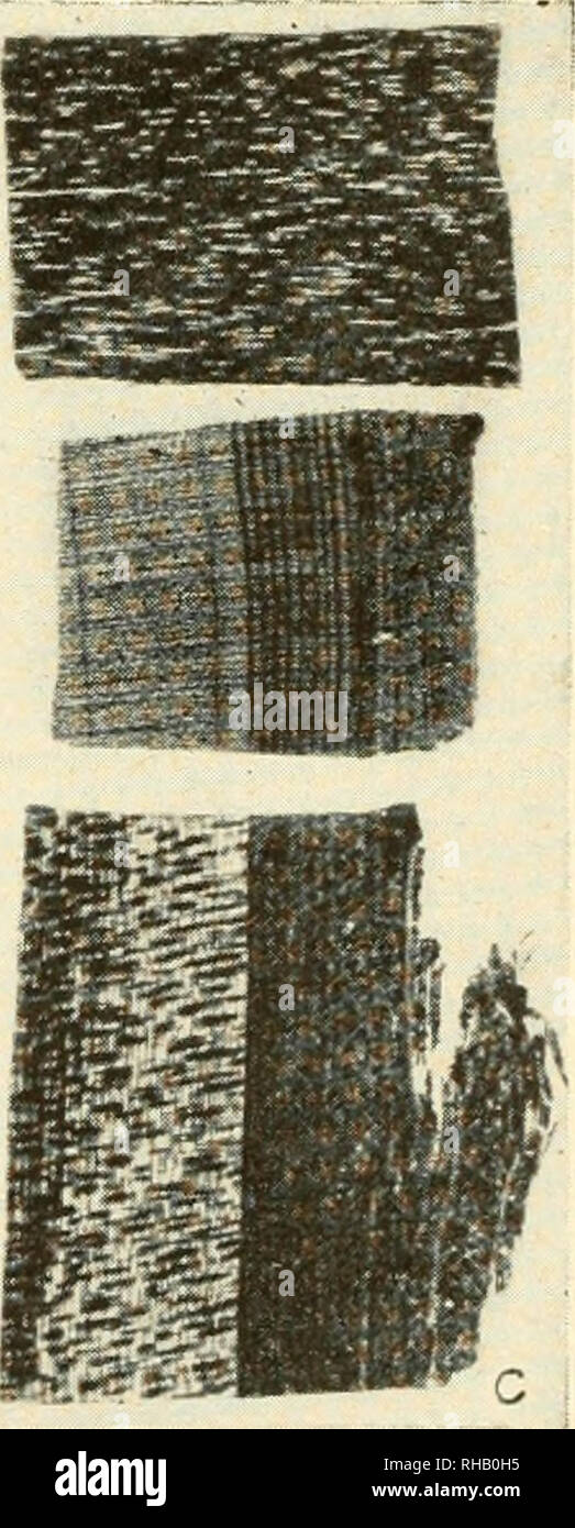 . Botanical microtechnique. Botany -- Anatomy; Botany -- Morphology ...