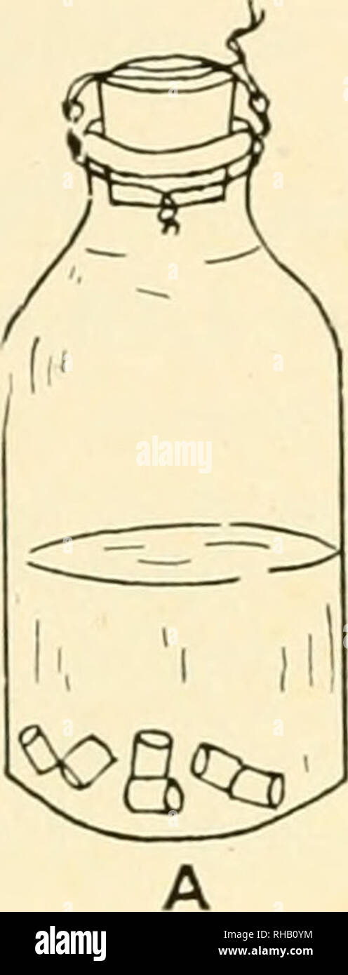 Microscopes c 1 hi-res stock photography and images - Alamy