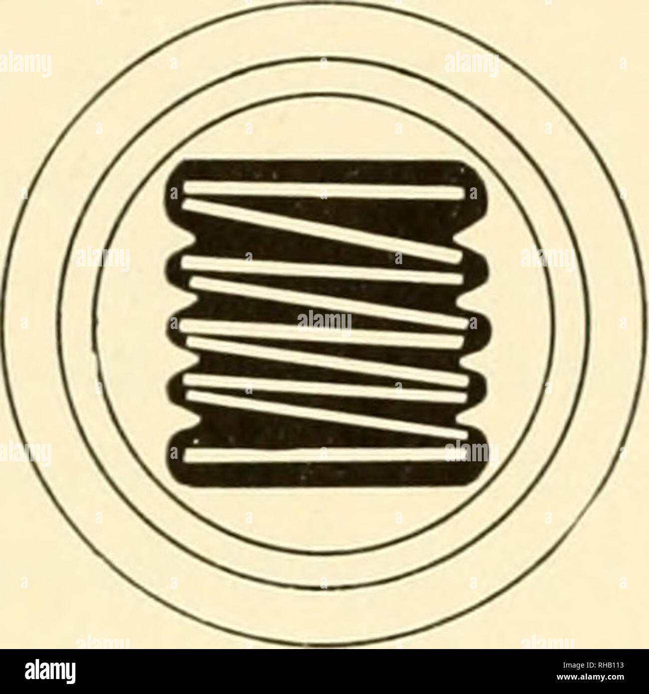 . Botanical microtechnique. Botany -- Anatomy; Botany -- Morphology ...