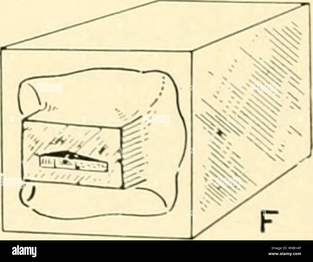 . Botanical microtechnique. Botany -- Anatomy; Botany -- Morphology ...