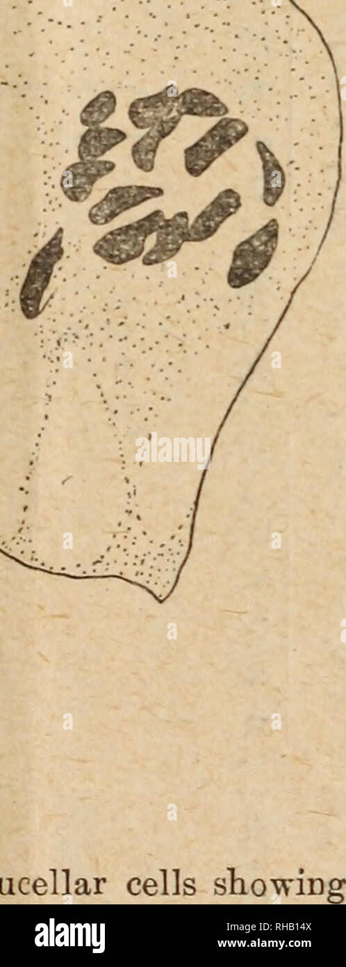 2800 ac hi-res stock photography and images - Alamy