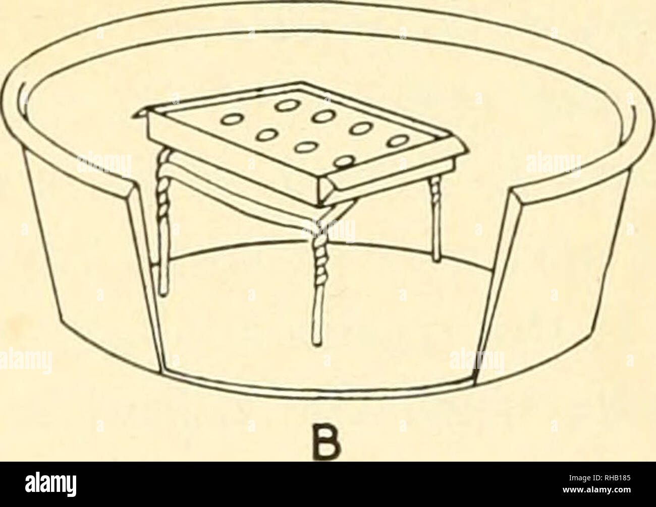 . Botanical microtechnique. Botany -- Anatomy; Botany -- Morphology ...